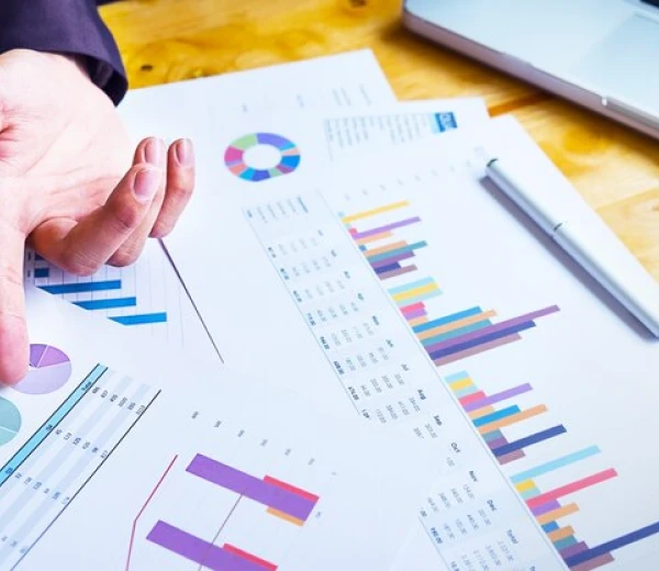 Economics, BA - American University of Bahrain